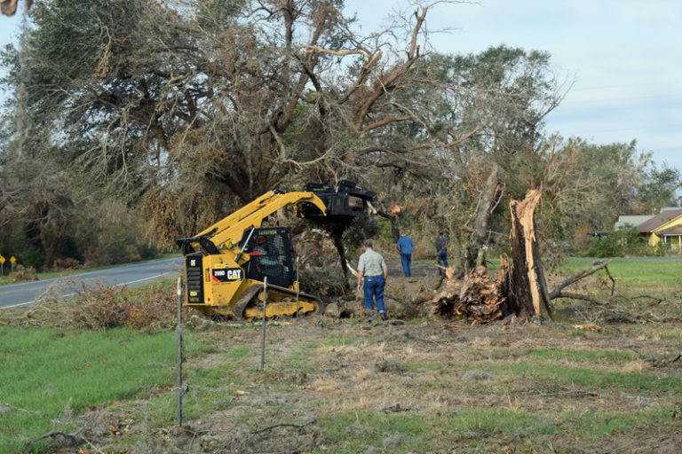 Hurricane Michael Agricultural Damage Assessment and Economic Impacts ...