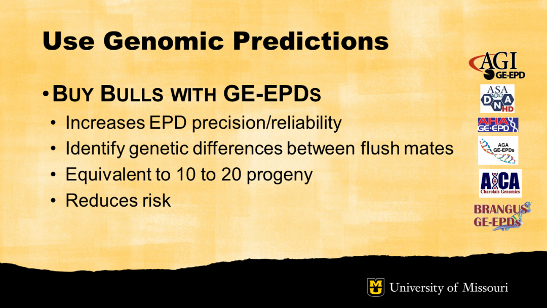 2019 Beef Conference Summary with Links to Presentations | Panhandle ...
