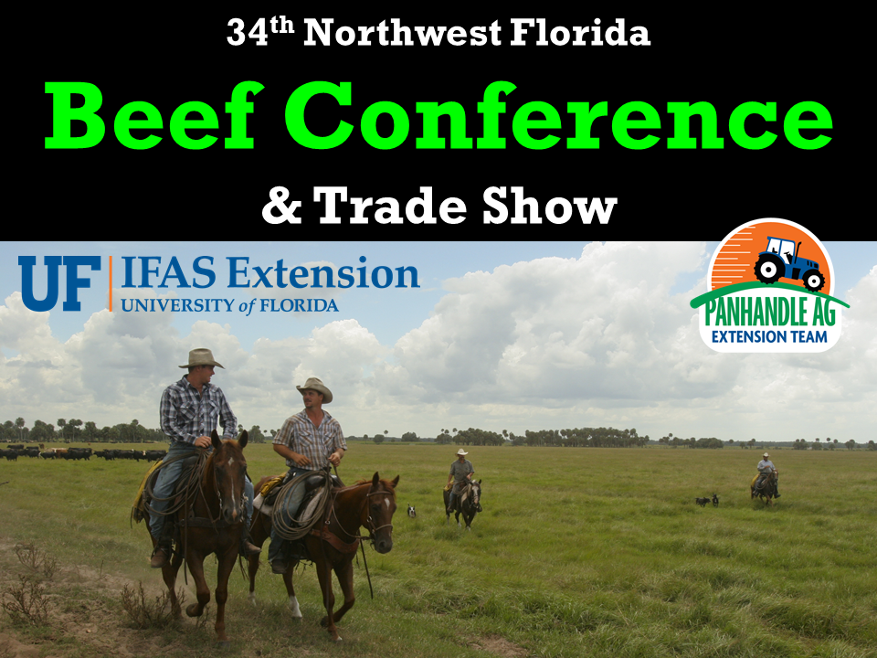 2019 Beef Conference Summary with Links to Presentations | Panhandle ...