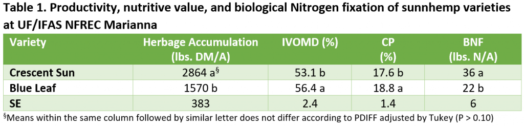 Sunn Hemp: A Fast Growing Annual Forage Legume | Panhandle Agriculture