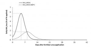 Getting the Most Out of Your Nitrogen Fertilizer Investment | Panhandle ...