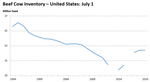 U.S. Cattle Inventory Reaches a Plateau | Panhandle Agriculture