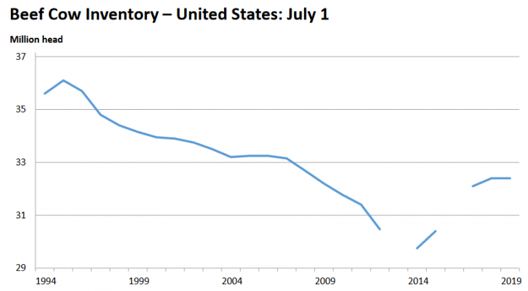 U.S. Cattle Inventory Reaches a Plateau | Panhandle Agriculture