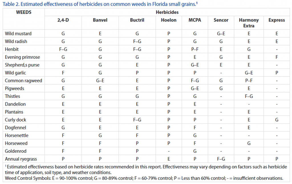 Weed Control in Small Grain Crops: Start Sooner Rather than Later ...