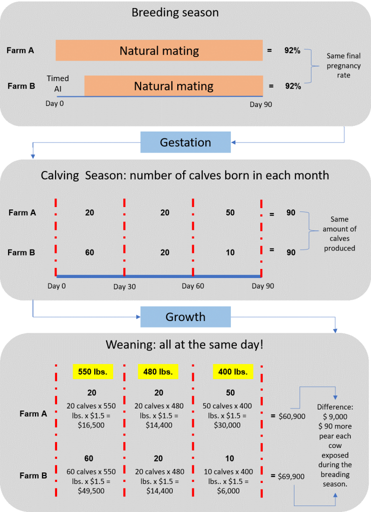 The Importance of the Calving Distribution for Cow-calf Operations ...