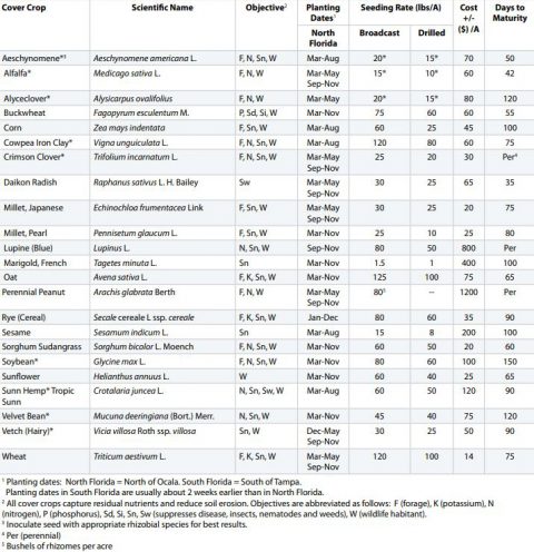 Fall Cover Crop Mixes – A Working Piece of Art | Panhandle Agriculture