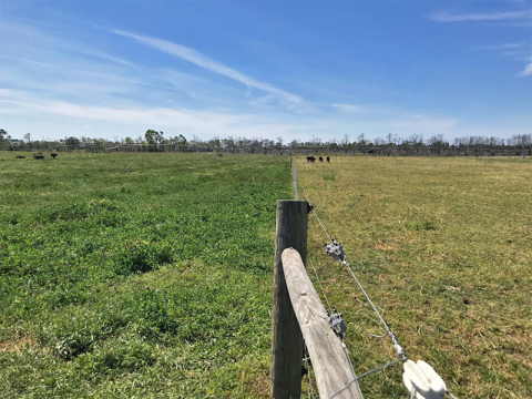 The Art and Science of Grazing Management | Panhandle Agriculture