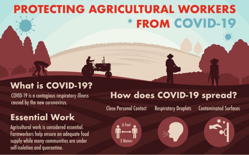 CDC COVID19 Farm Worker Safety Guidance | Panhandle Agriculture