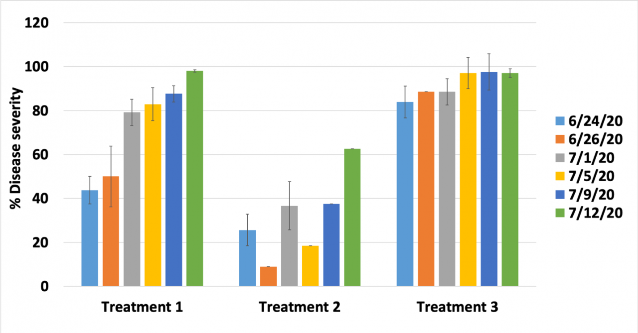 Using Scouting and Diagnostic Confirmation to Improve Watermelon Spray ...