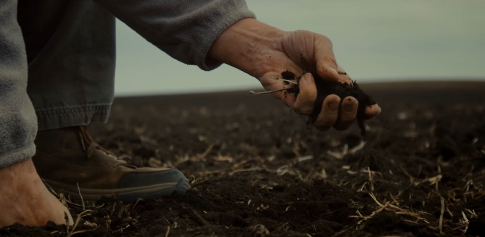 Friday Feature: The Farmer Must Feed Us All | Panhandle Agriculture