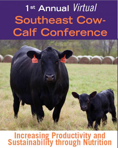 Cow-calf Conference | Panhandle Agriculture