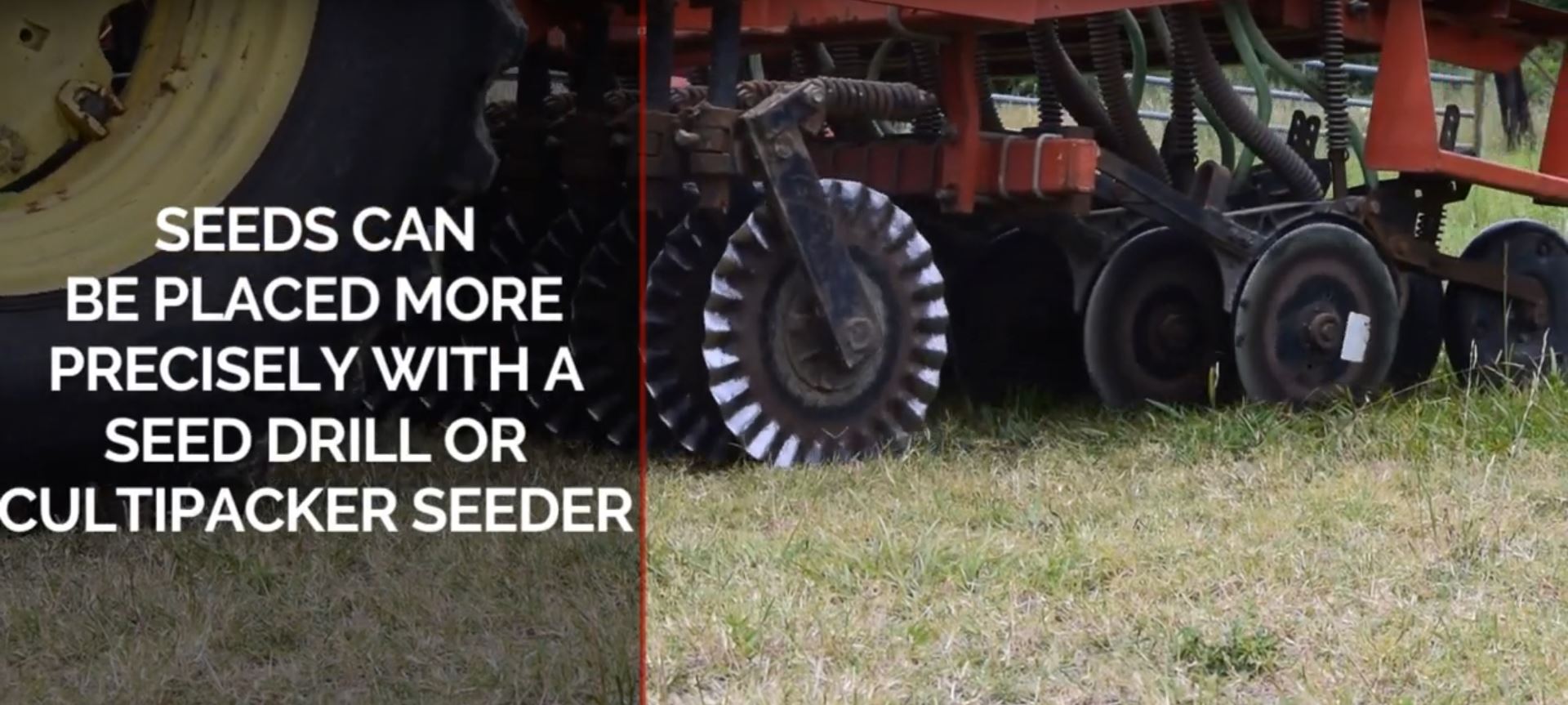 Friday Feature: Drilling vs Broadcasting Forage Seed | Panhandle ...