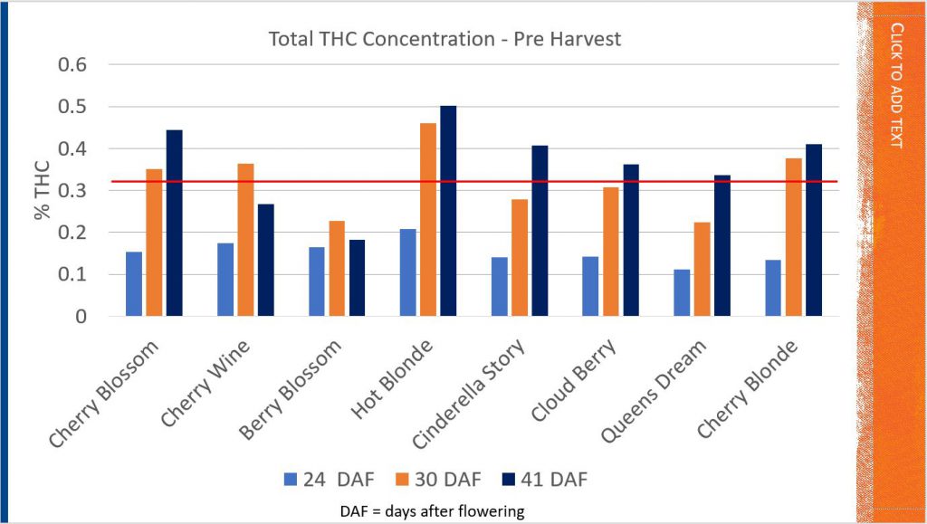 After Another Year of Industrial Hemp Research, the Risks Remain the ...