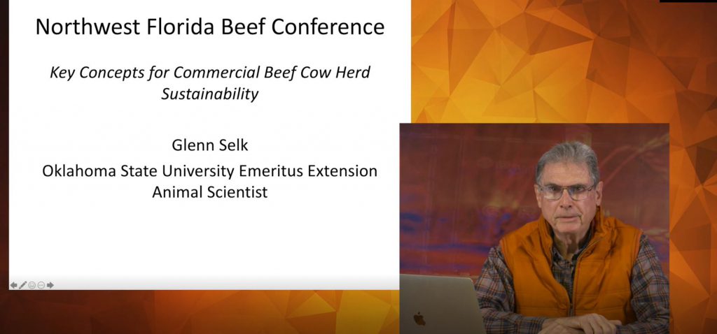 2021 Virtual Beef Cattle Conference Presentation Videos | Panhandle ...