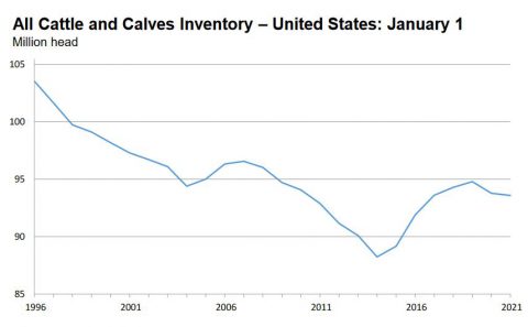 US Cattle Herd Decreases Slightly for Second Year in 2020 | Panhandle ...