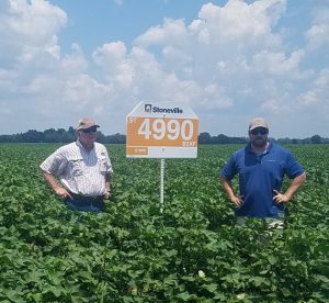 Santa Rosa County 2020 Cotton Variety Test Results | Panhandle Agriculture