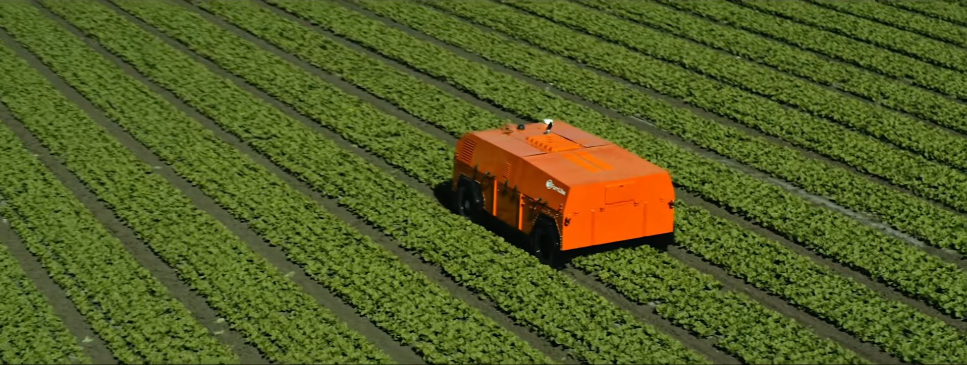 Friday Feature: FarmWise Vegetable AI Weed Control | Panhandle Agriculture