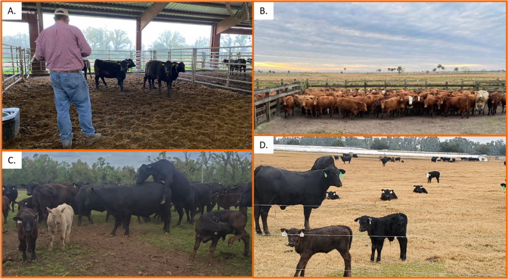 Powerful Reproductive Technologies are Available to Boost the ...