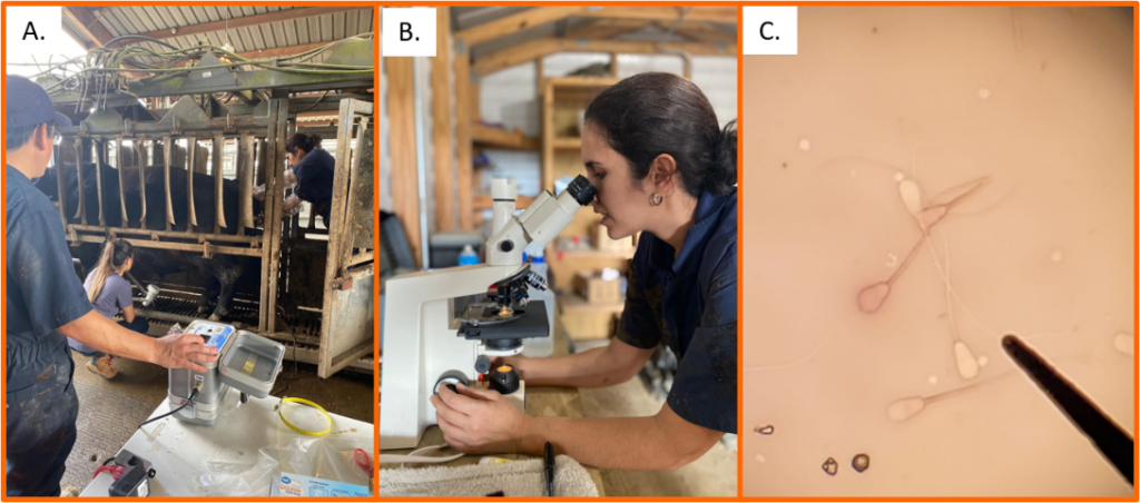 Powerful Reproductive Technologies are Available to Boost the ...