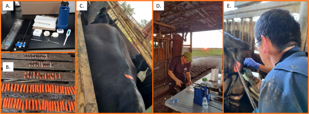 Powerful Reproductive Technologies are Available to Boost the ...