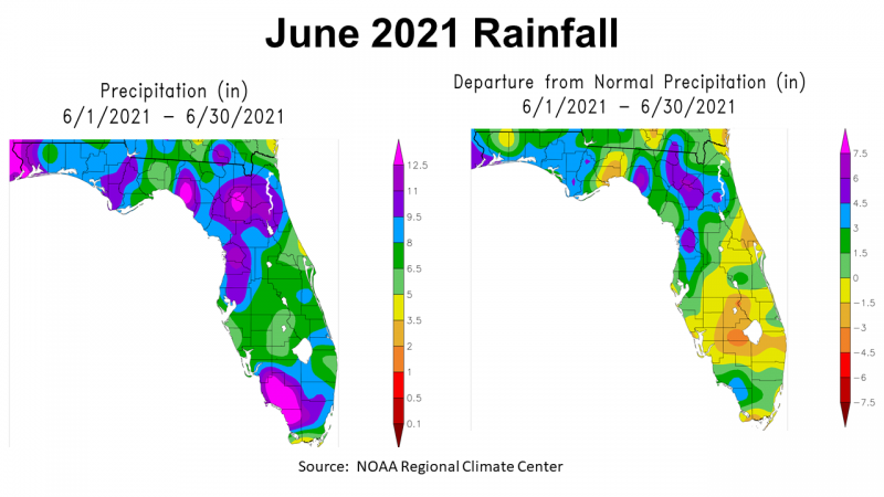 June 2021 Weather Summary & Dog Days Outlook | Panhandle Agriculture