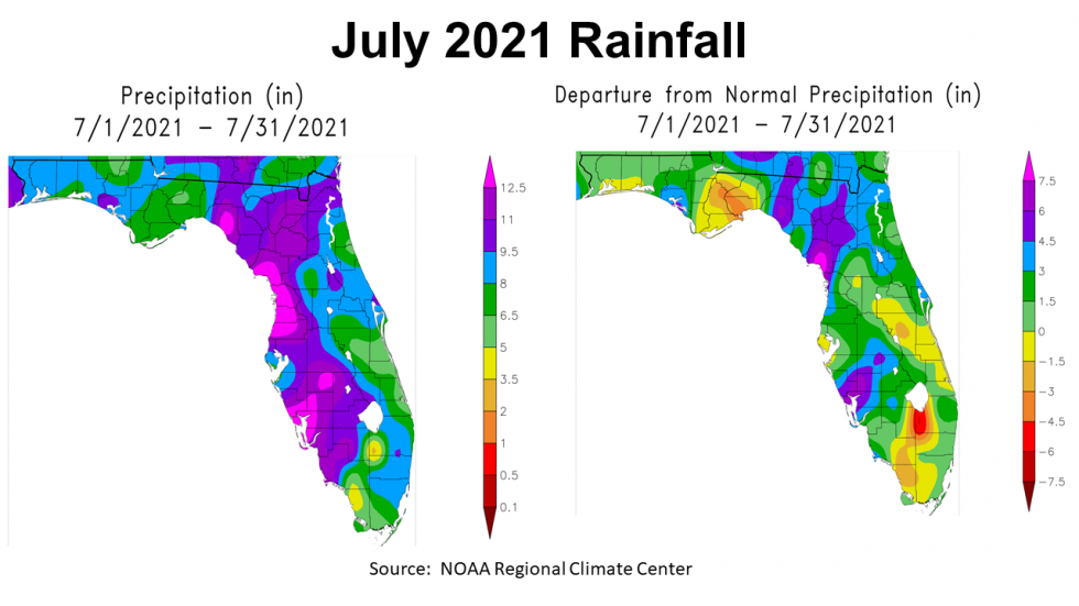 July 2021 Weather Summary and Fall Outlook | Panhandle Agriculture