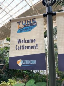 Highlights of the 2021 NCBA Cattle Industry Convention & NCBA Trade ...