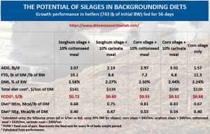 The Role of Silage in Bridging the Fall Forage Gap | Panhandle Agriculture