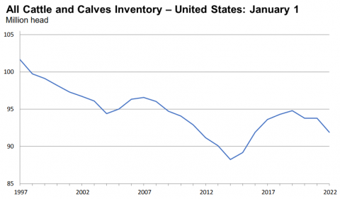 US Cattle Inventory Down 2% on January 1, 2022 | Panhandle Agriculture