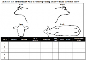Beef Herd Essential Management: Herd Health Protocols - UF/IFAS ...