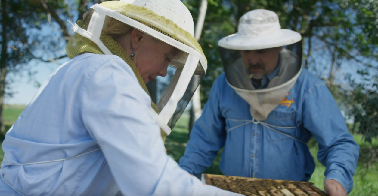 Friday Feature: Celebrating Beekeeping – A Labor of Love | Panhandle ...