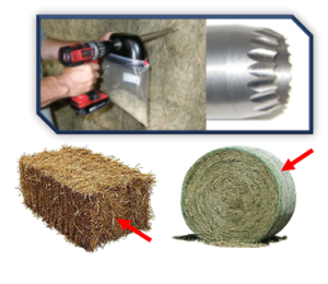 Forage for Horses: Considerations for Hay Selection and Feeding ...