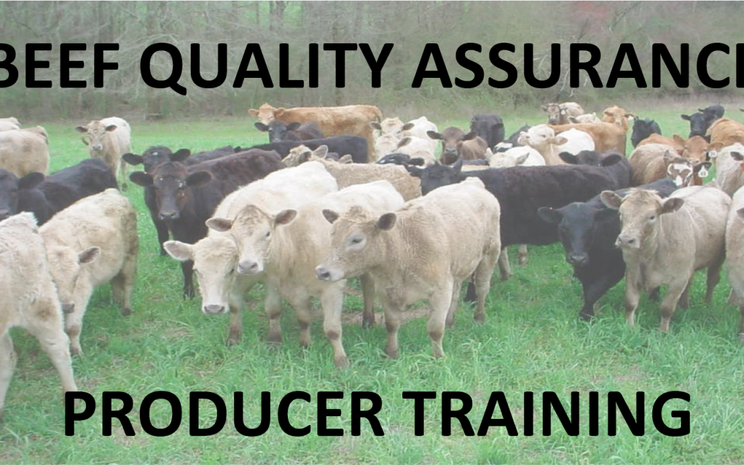 Educational Training | Panhandle Agriculture