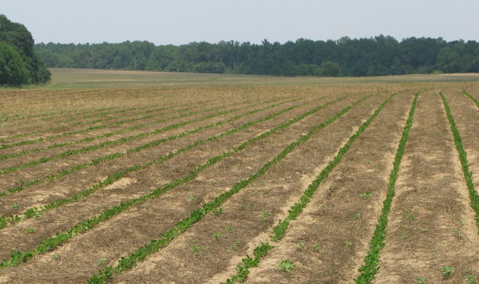 Educational Training | Panhandle Agriculture