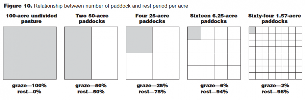 Grazing Management – Making the Most of the Available Forage ...