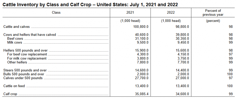US Beef Cows Drop 2% in NASS July Cattle Inventory Report | Panhandle ...