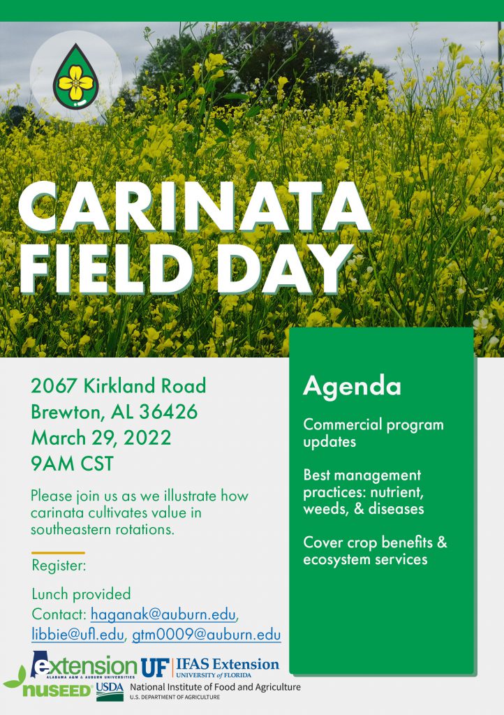 AL Field Day-v3 carinata | Panhandle Agriculture
