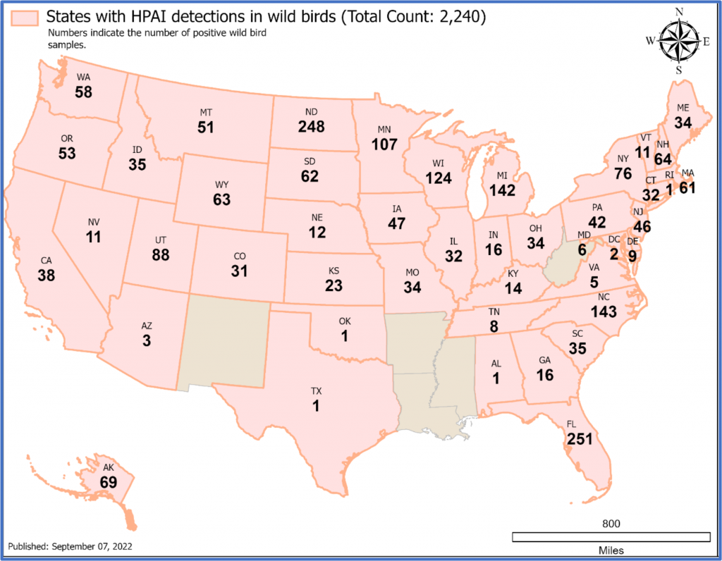Protecting Your Poultry Flock From Bird Flu | Panhandle Agriculture