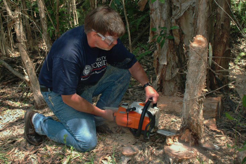 Chainsaw Operator | Panhandle Agriculture