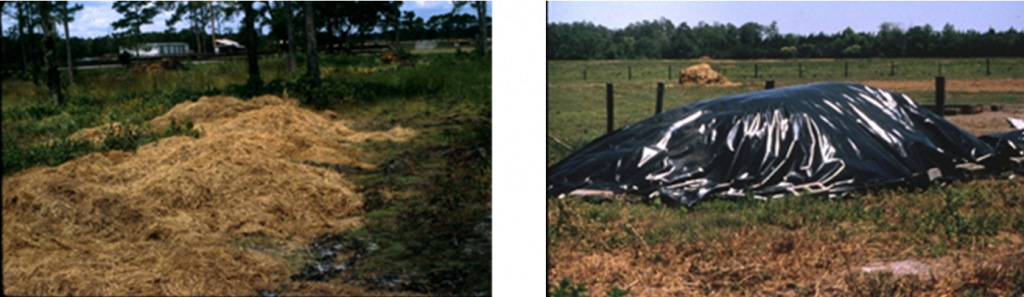 Cool-Season Fly Pests of Horses | Panhandle Agriculture