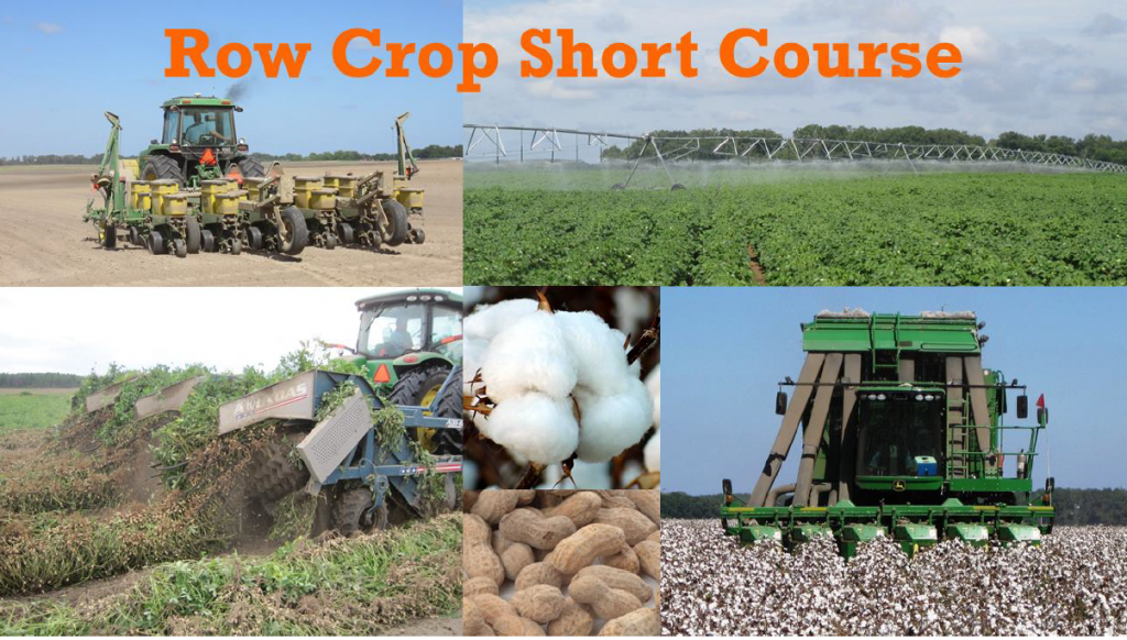 RowCropShortCourseImage | Panhandle Agriculture