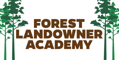 New Online Forest Landowner Academy Now Open for Enrollment | Panhandle Agriculture