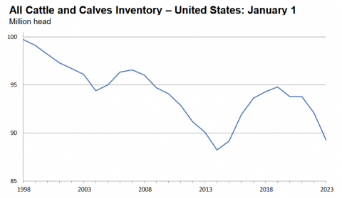 US Cattle Inventory Down 3% – Anticipated Impact on Cow-Calf Producers ...