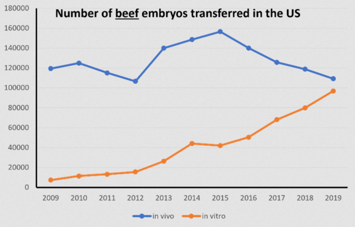 Key Concepts to Consider Before Starting an Embryo Transfer Program for ...