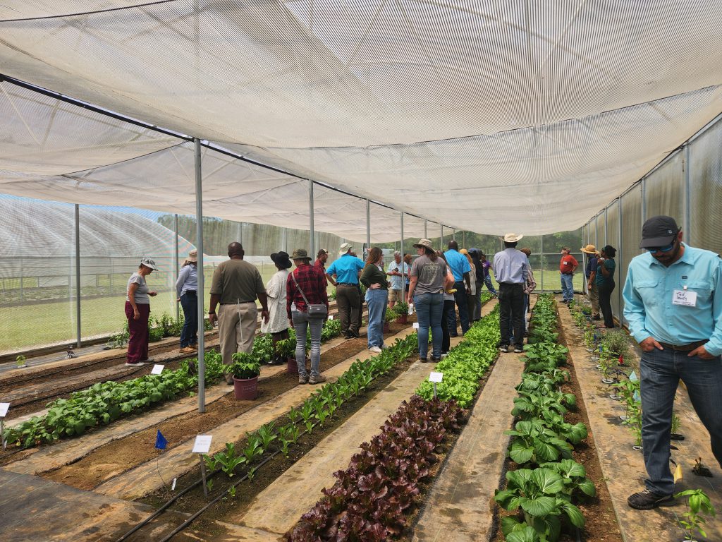 Thinking About Starting a Farm? Essential Knowledge for Beginner ...