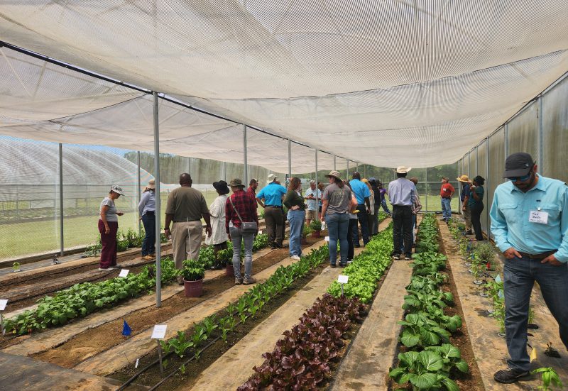 Thinking About Starting a Farm? Essential Knowledge for Beginner ...