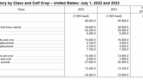 July 2023 Cattle Inventory Report – No Herd Rebuilding in Sight ...