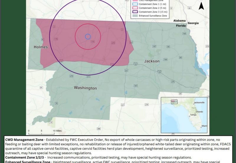 Wildlife Food Plots: A Guide for Success | Panhandle Agriculture