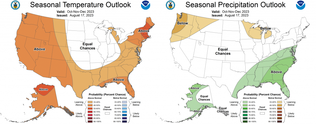 Cool-Season Forages, Cover-Crops, and Wildlife Food Plots | Panhandle Agriculture