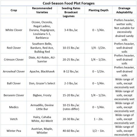 Wildlife Food Plots: A Guide for Success | Panhandle Agriculture